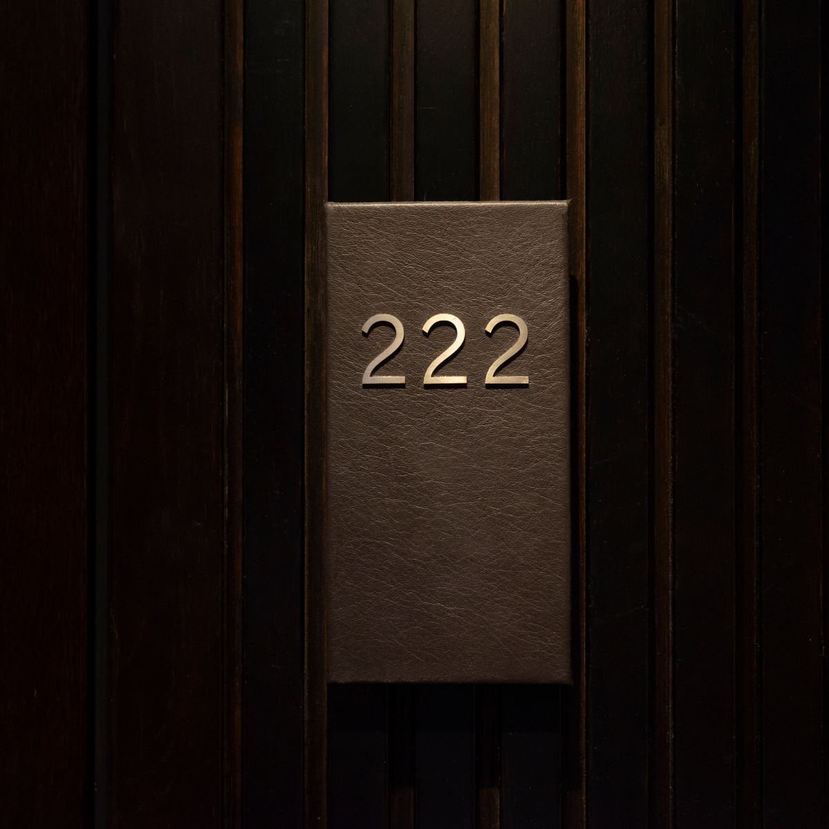 What Does 222 Mean In The Bible? - Bible Wings