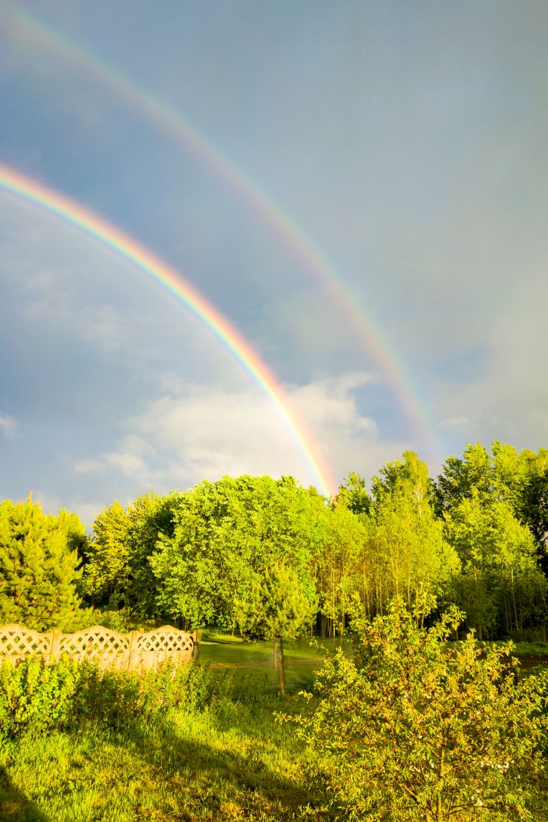 What Does The Bible Say About Rain On Your Wedding Day? - Bible Wings