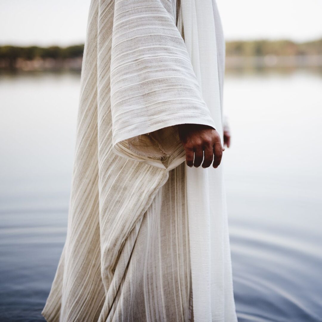 What is Jesus' favorite color? - Bible Wings