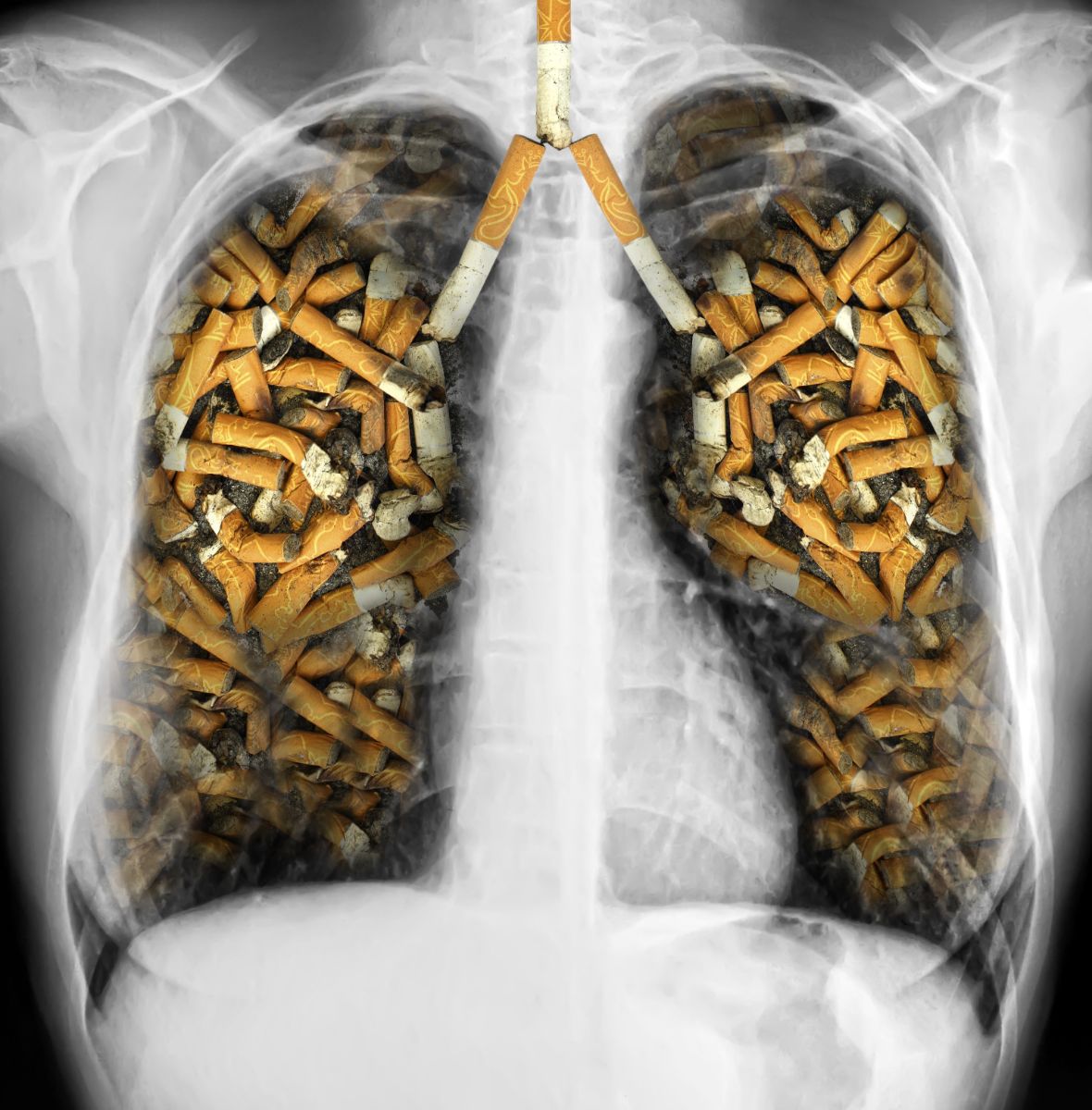 Will Smokers Go To Heaven? Or Hell - Bible Wings